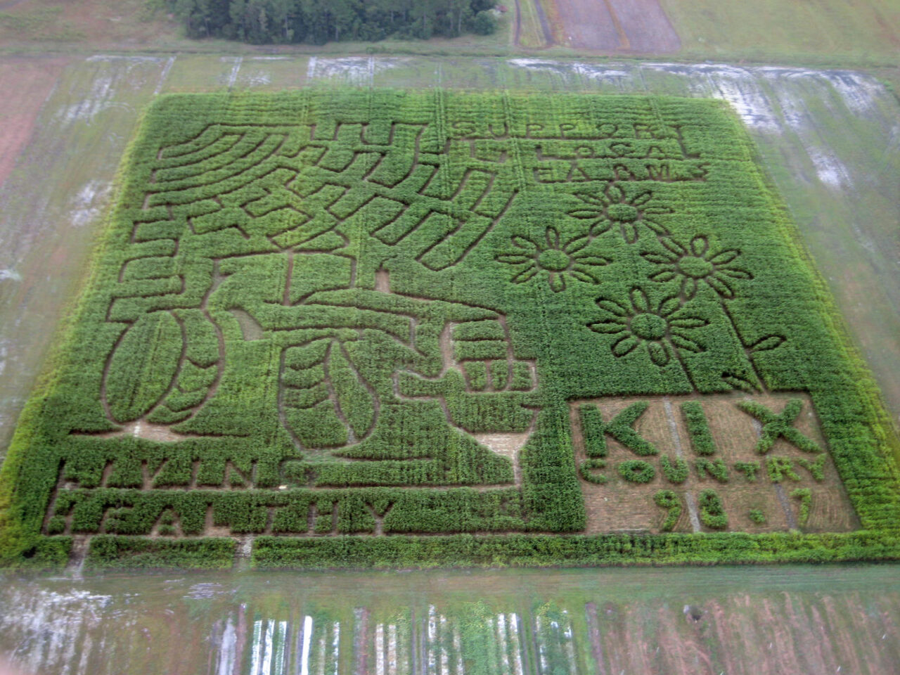 Cowart Ranch and Farms | Home of Maze Dayz, The Blueberry Stand, and ...